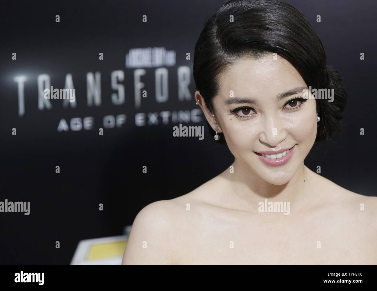 Li Bingbing Transformers