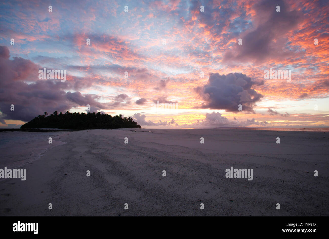 Tropical Island with a paradise beach and palm trees, Fiji Islands ...