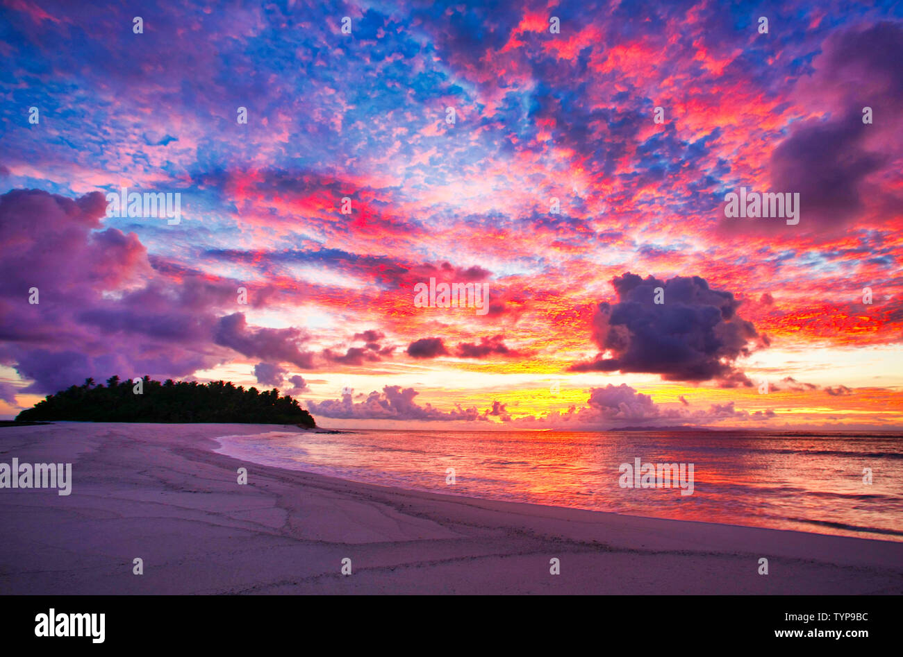 Tropical Island with a paradise beach and palm trees, Fiji Islands ...