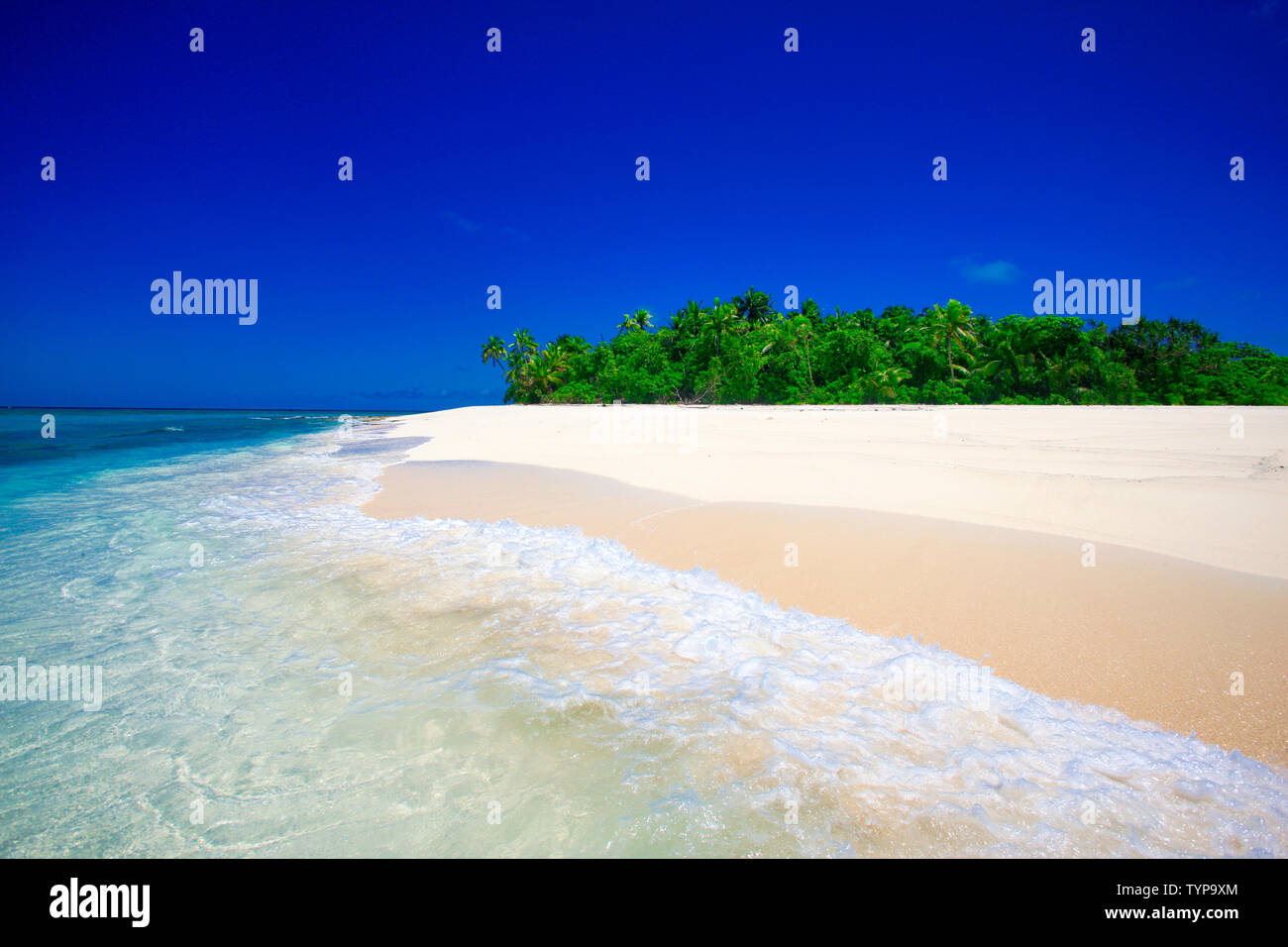 Tropical Island with a paradise beach and palm trees, Fiji Islands ...