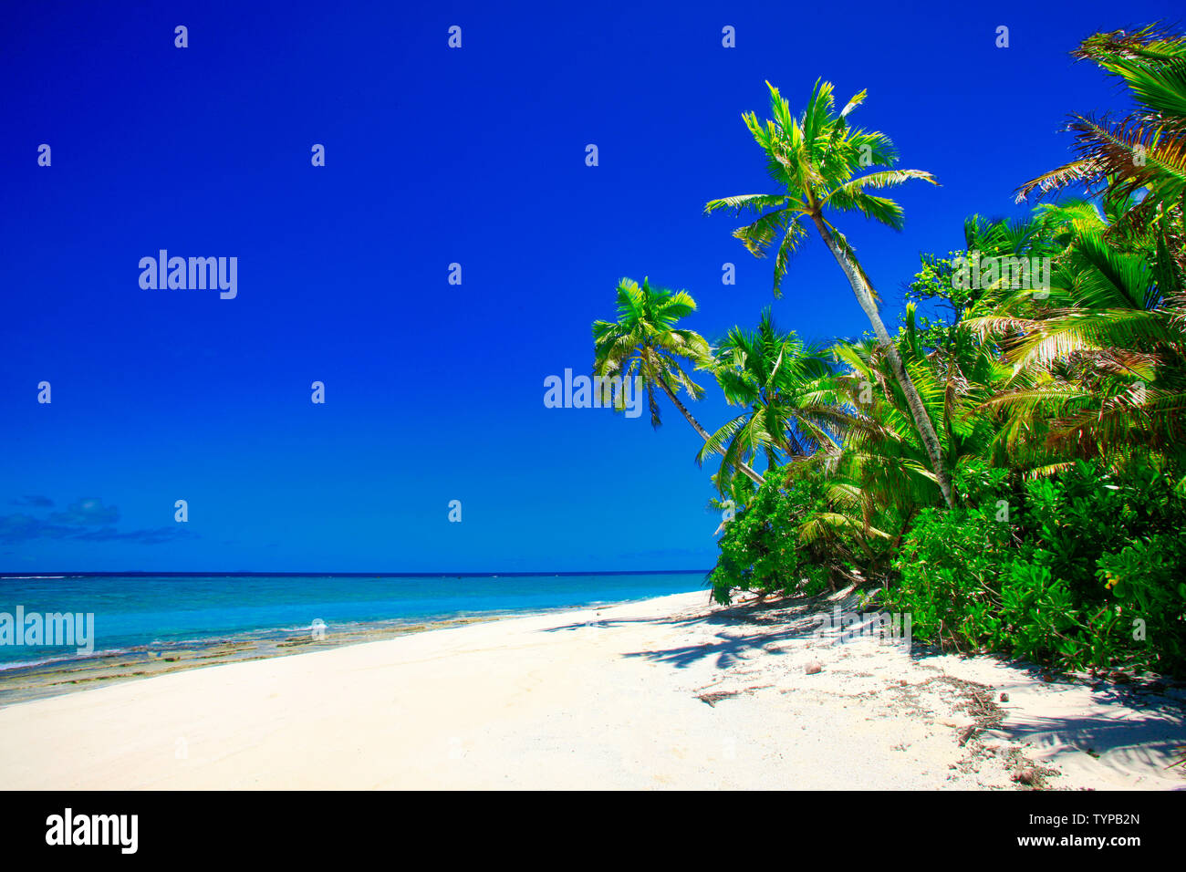 Tropical Island with a paradise beach and palm trees, Fiji Islands ...