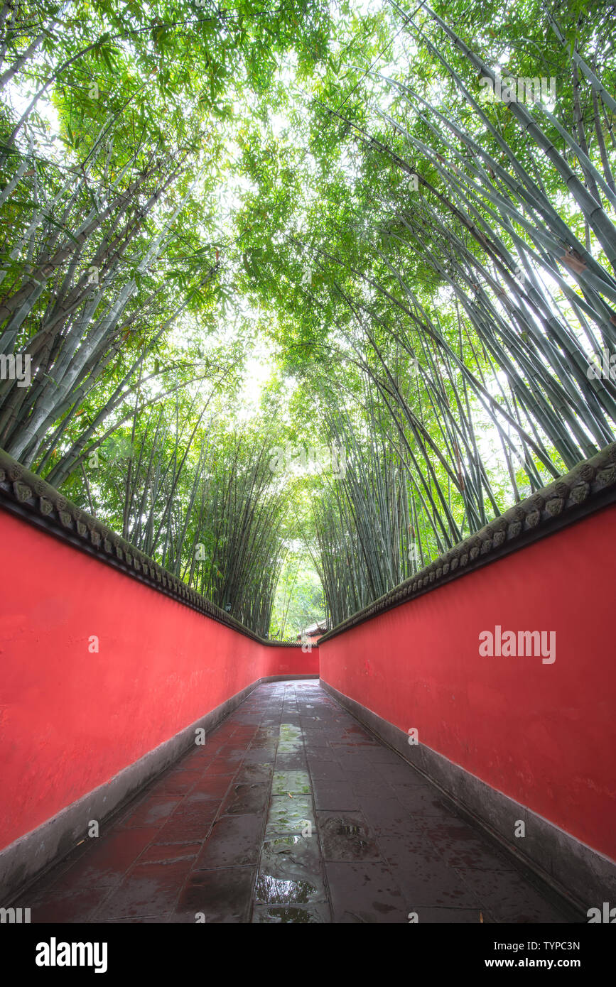 Red Wall and Bamboo Forest in Wuhou Temple Museum in Chengdu Stock ...