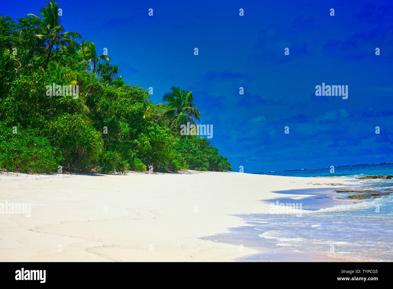 Tropical Island with a paradise beach and palm trees, Fiji Islands ...