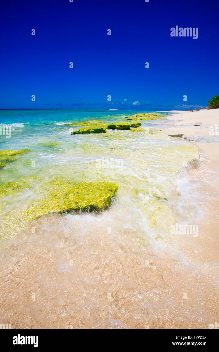 Tropical Island with a paradise beach and palm trees, Fiji Islands ...