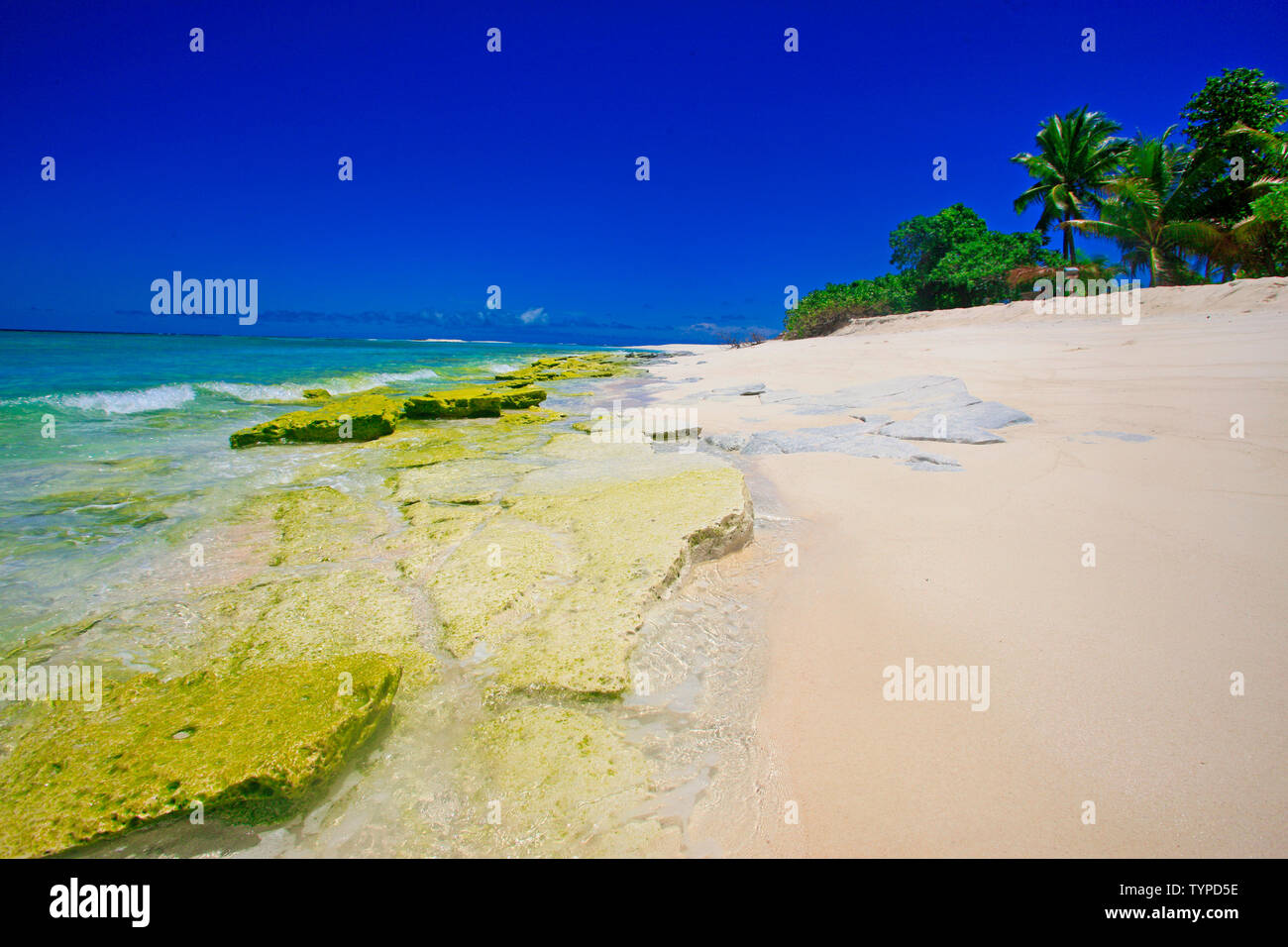 Tropical Island with a paradise beach and palm trees, Fiji Islands ...