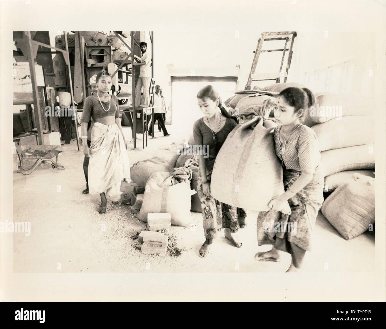 TWO GIRLS LIFTING ONE LARGE SACK FROM ONE BIG PILE OF SACKS WHILE OTHER ...