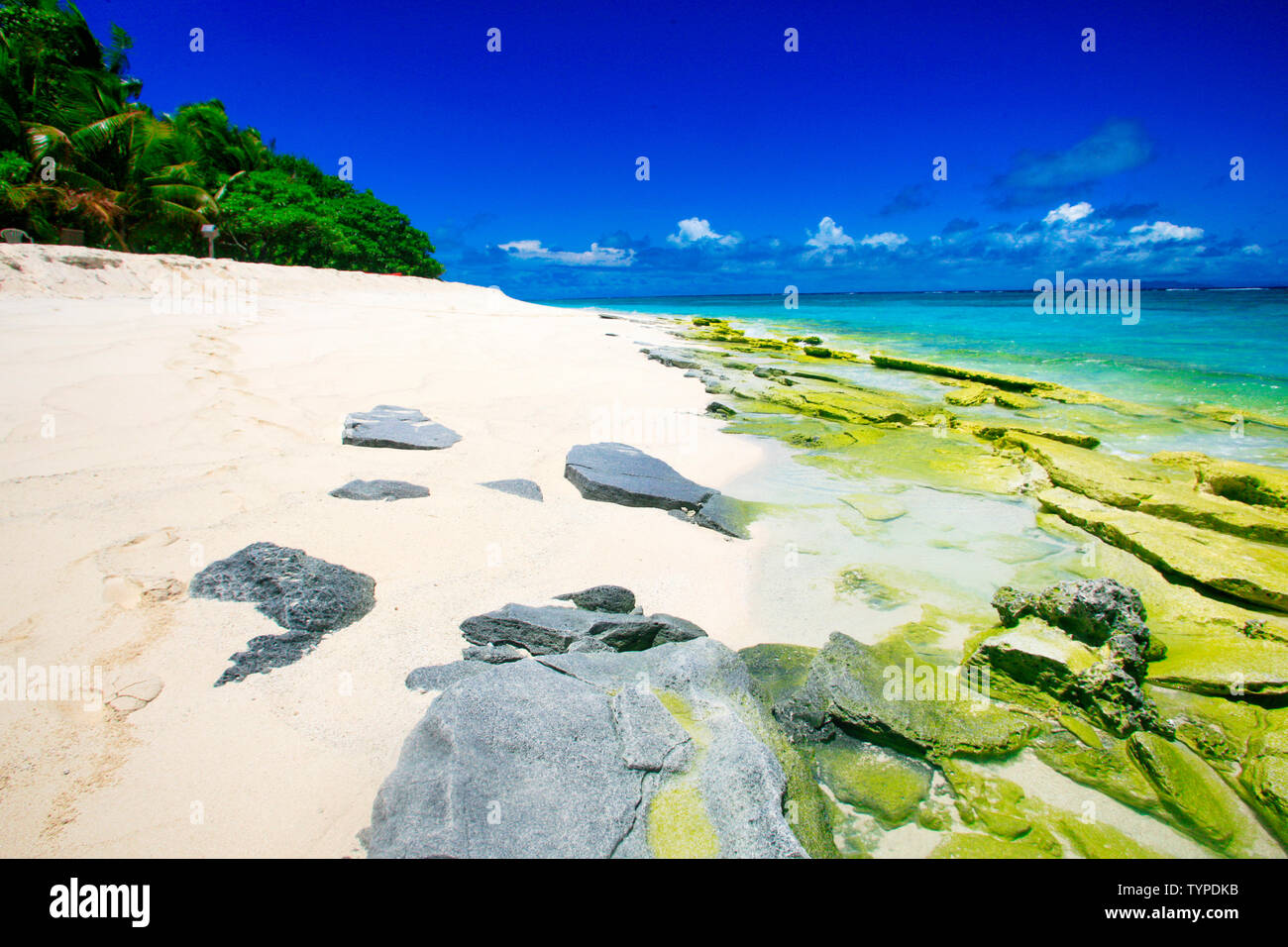 Tropical Island with a paradise beach and palm trees, Fiji Islands ...