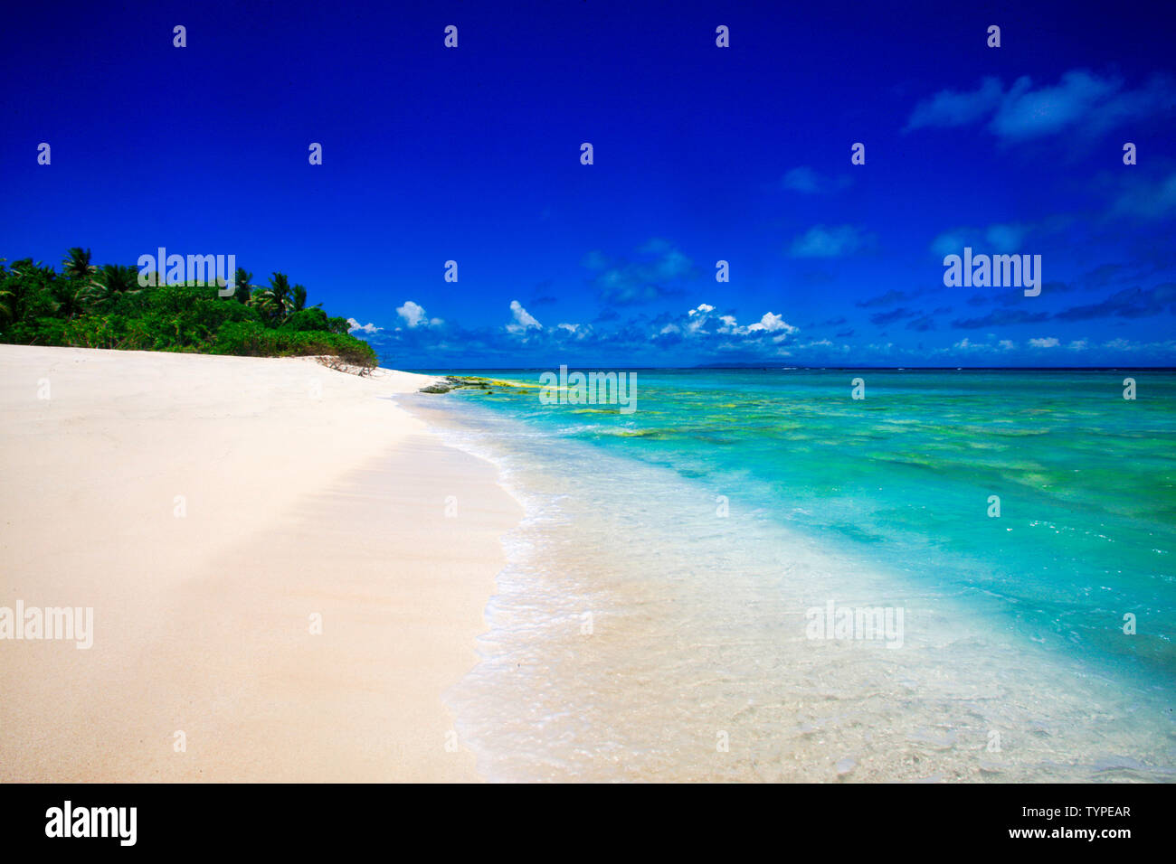 Tropical Island with a paradise beach and palm trees, Fiji Islands ...