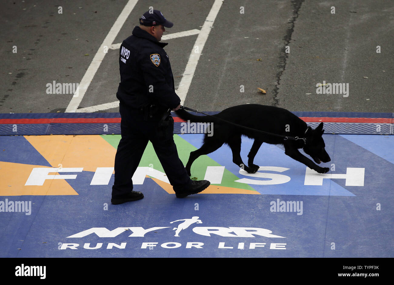 An NYPD Police Officer walks a police dog around the finish line at the ...