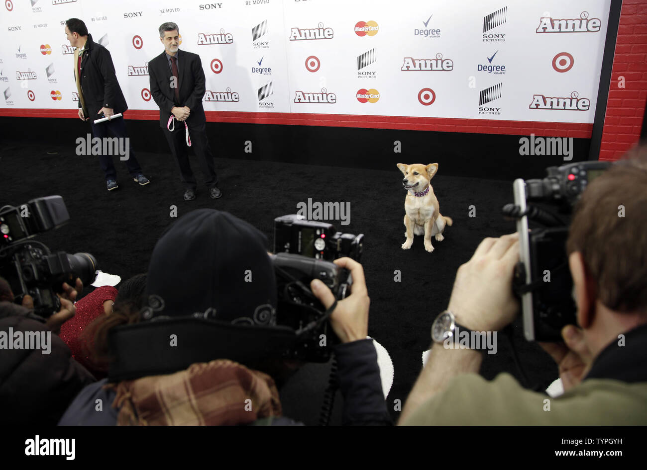 The dog who plays Sandy in the movie arrives on the red carpet at the ...