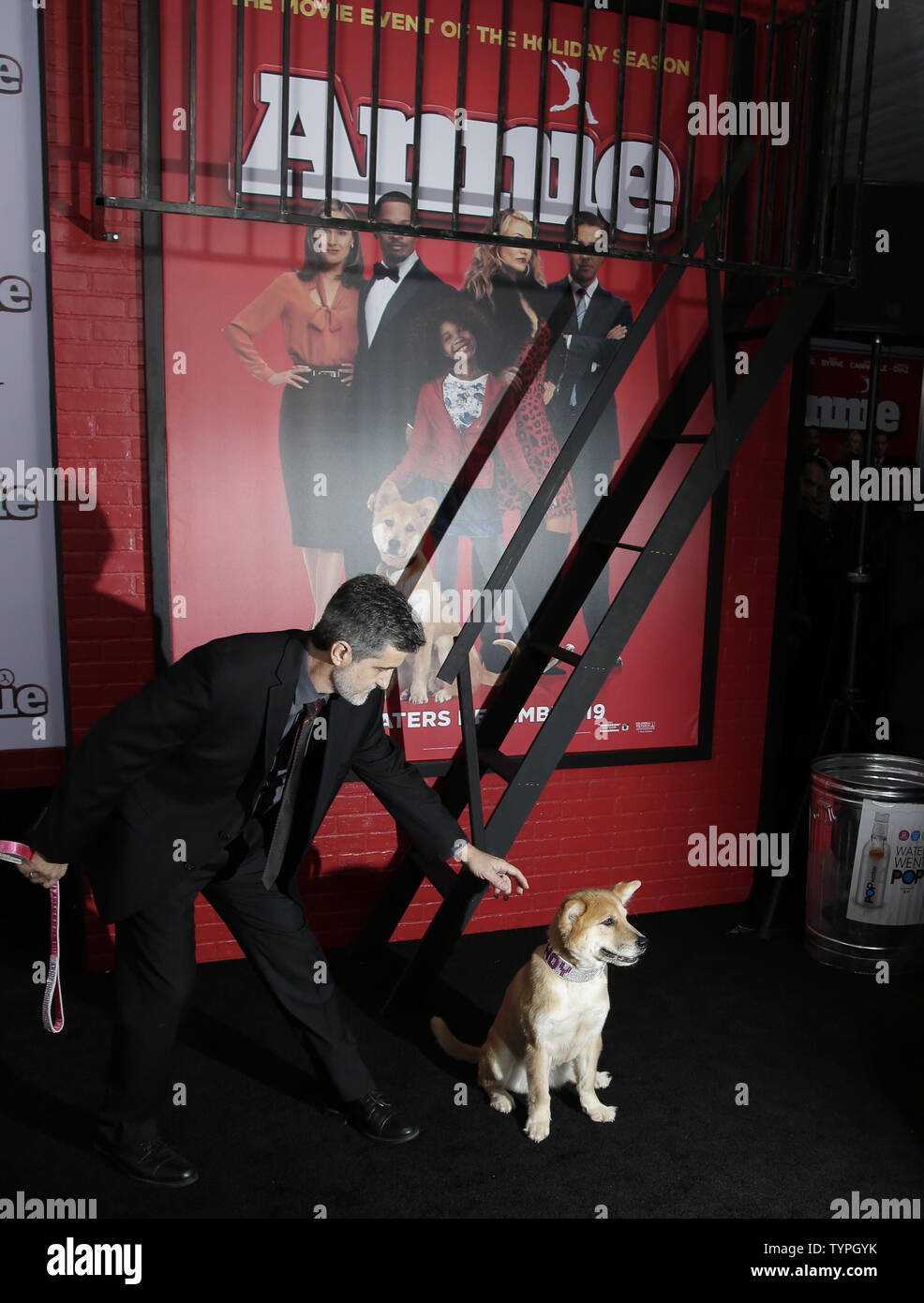 The dog who plays Sandy in the movie arrives on the red carpet at the ...