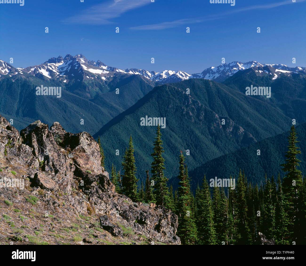 USA, Washington, Olympic National Park, Mt. Deception (top left) rises ...
