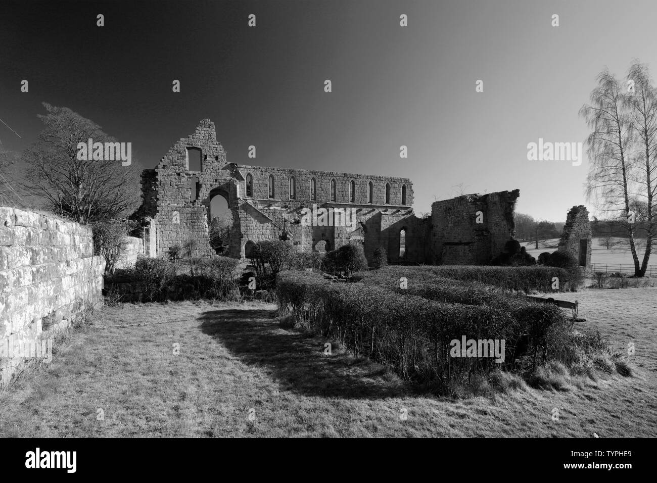 The ruins of Jervaulx Abbey, East Witton village, North Yorkshire ...
