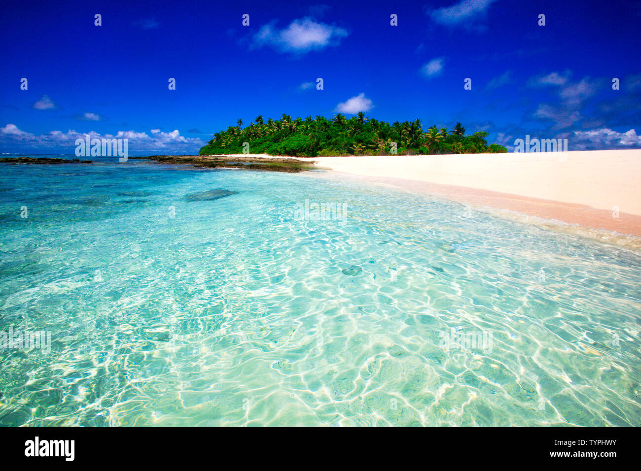 Tropical Island with a paradise beach and palm trees, Fiji Islands ...