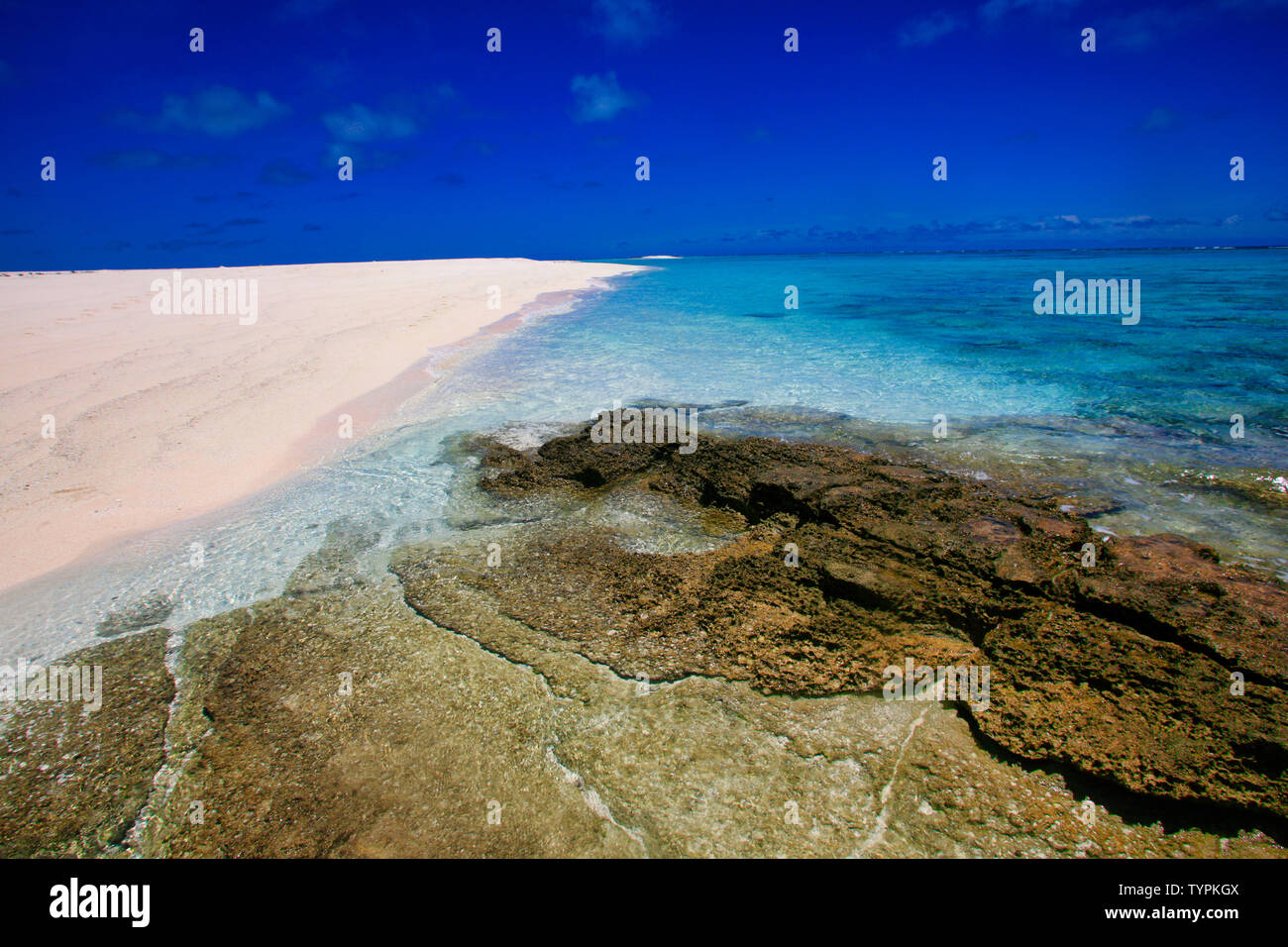 Tropical Island with a paradise beach and palm trees, Fiji Islands ...