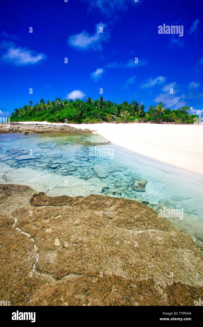 Tropical Island with a paradise beach and palm trees, Fiji Islands ...
