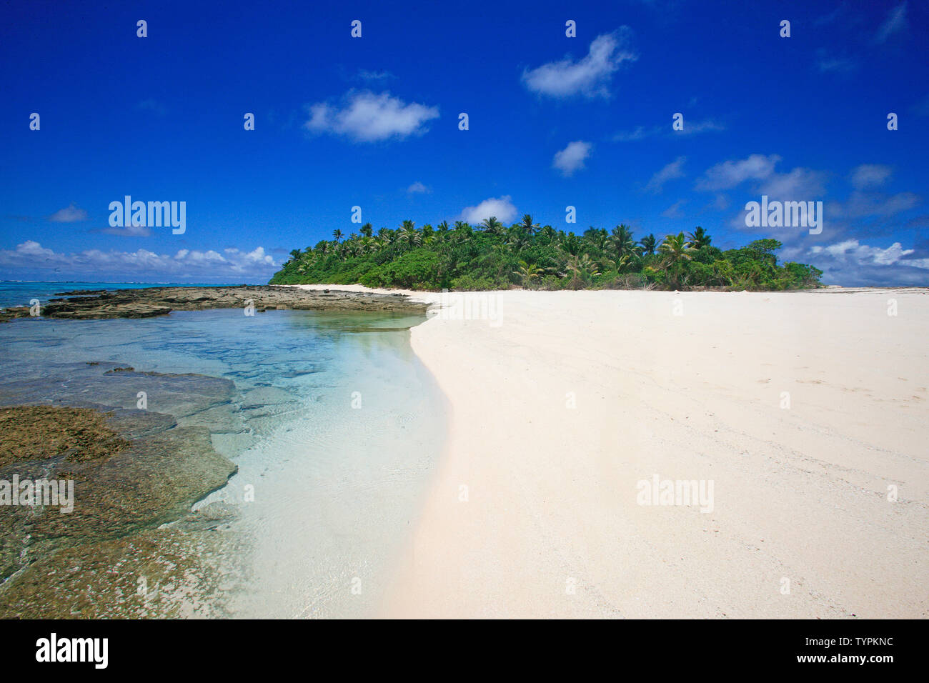 Tropical Island with a paradise beach and palm trees, Fiji Islands ...
