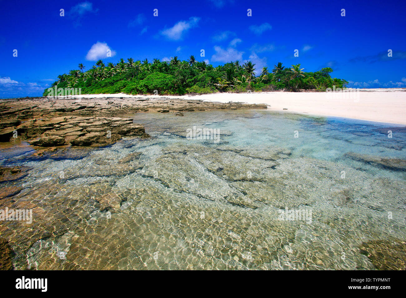 Tropical Island with a paradise beach and palm trees, Fiji Islands ...