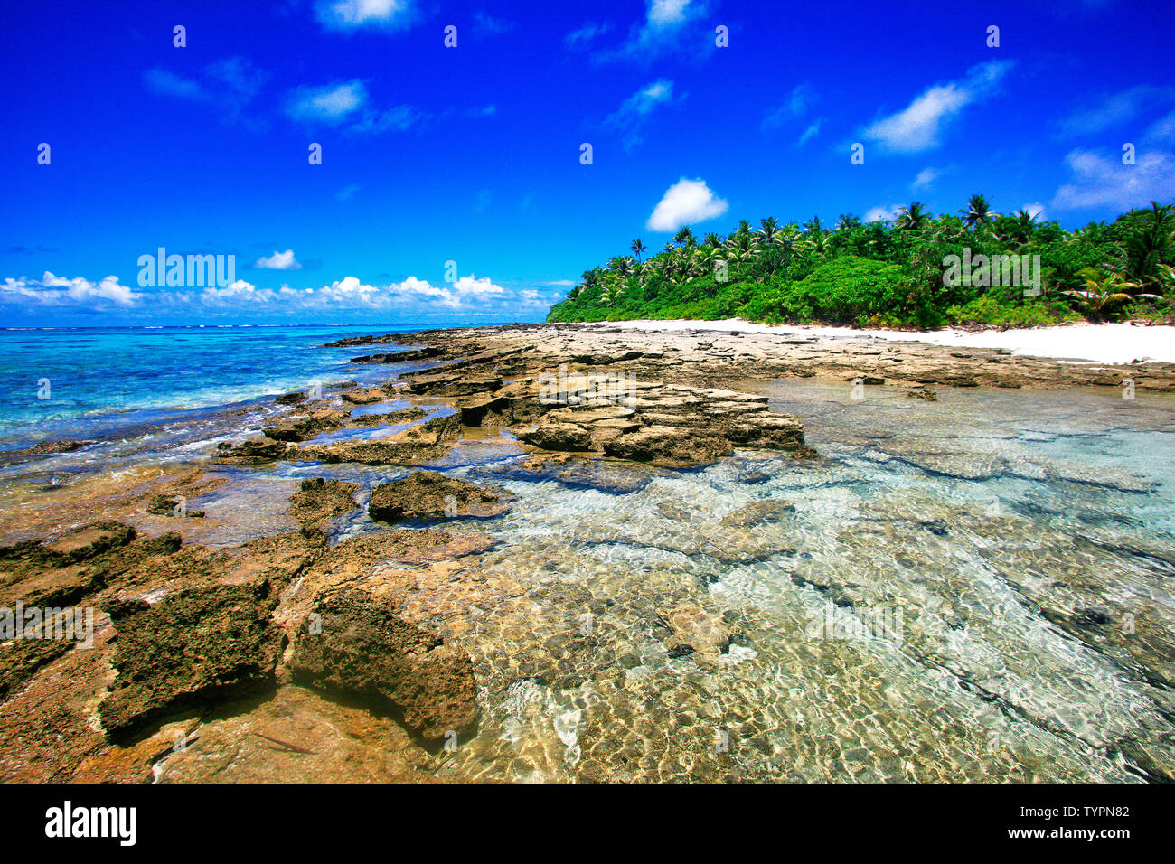 Tropical Island with a paradise beach and palm trees, Fiji Islands ...