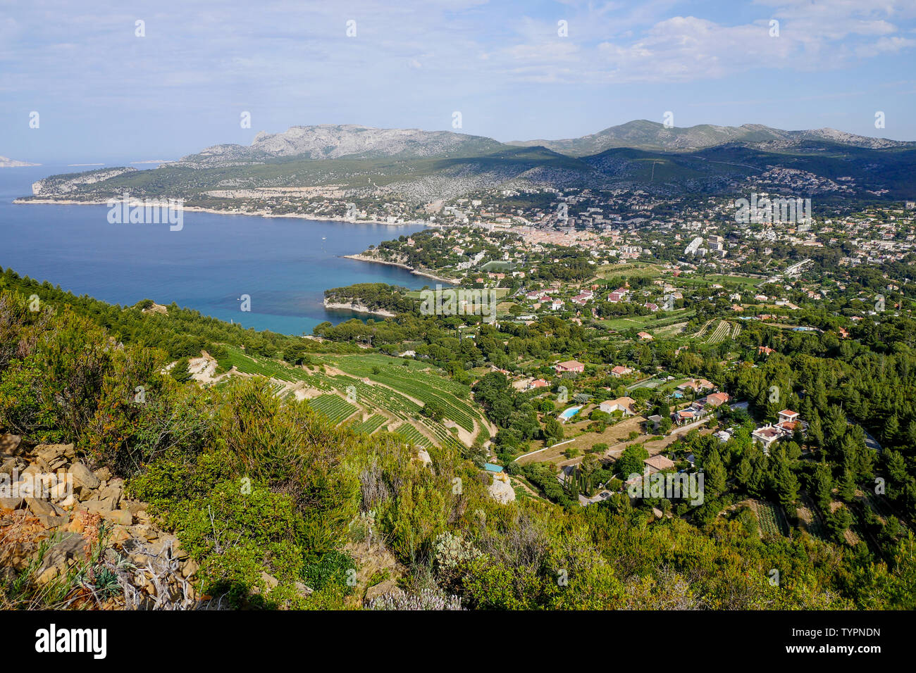 Panorama with Cassis city and Cassis vineyard, seen from the Cape ...