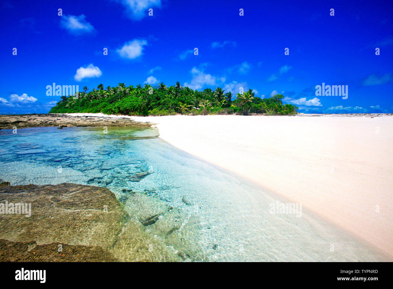 Tropical Island with a paradise beach and palm trees, Fiji Islands ...