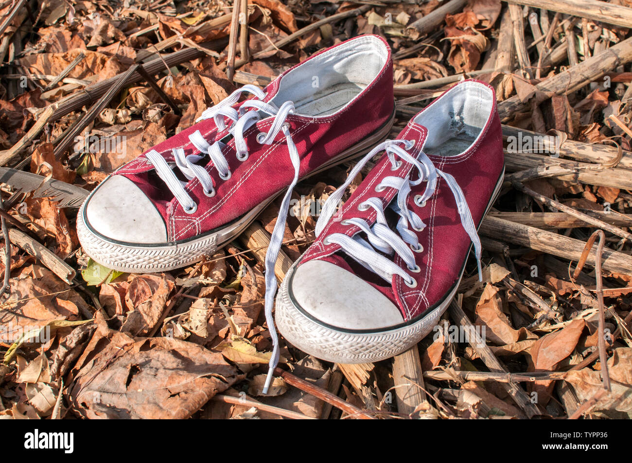 Worn Out Sneakers High Resolution Stock Photography and Images - Alamy