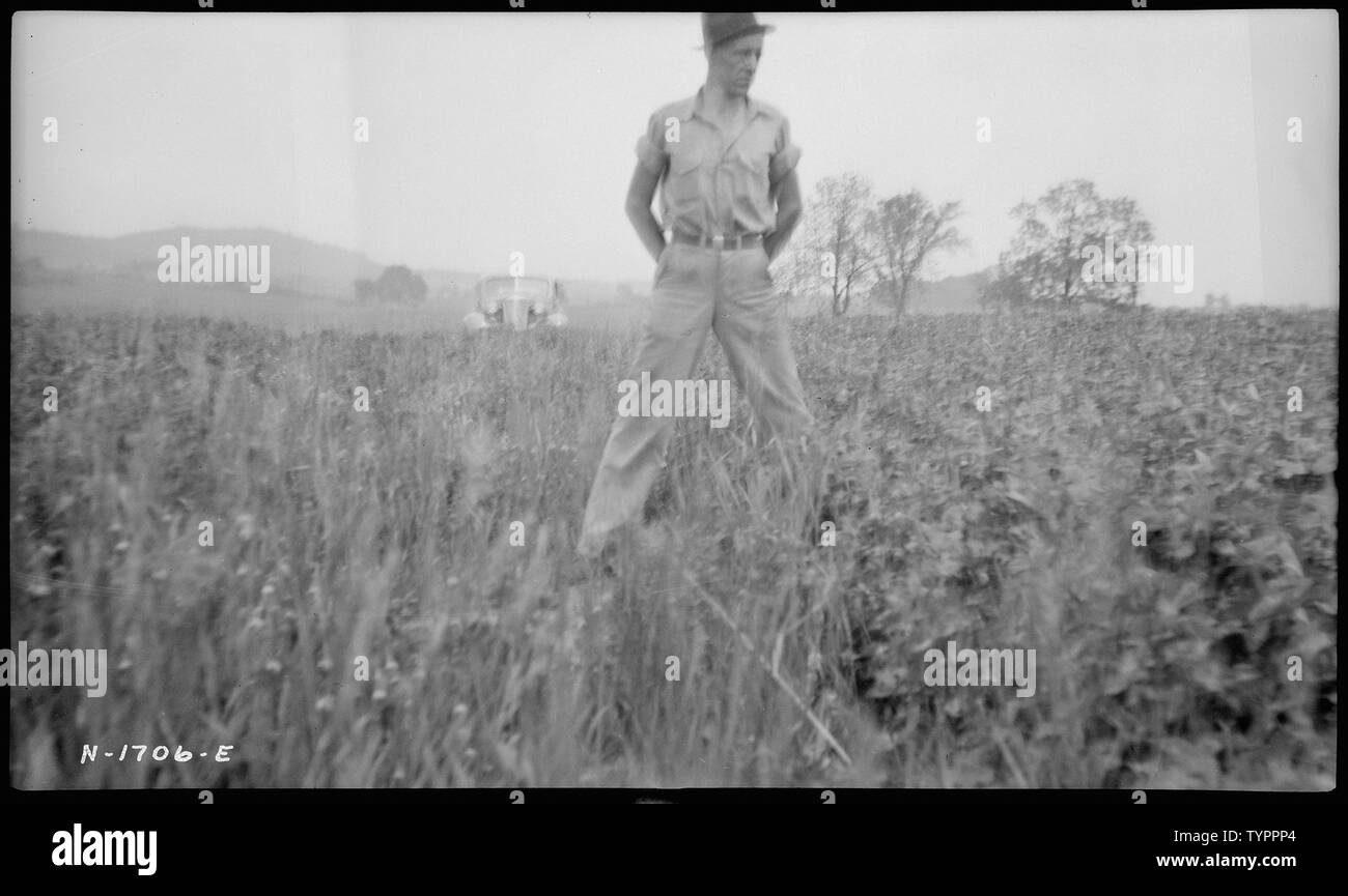 Wilson, Asbury; In clover field Stock Photo - Alamy