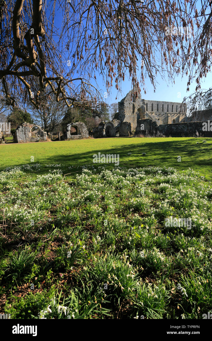 The ruins of Jervaulx Abbey, East Witton village, North Yorkshire ...