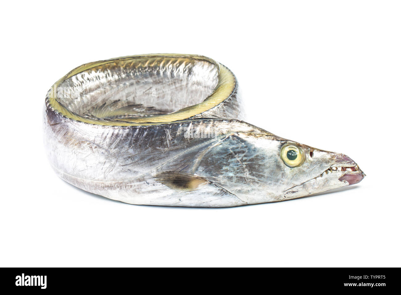 Man carrying fish Cut Out Stock Images & Pictures - Alamy