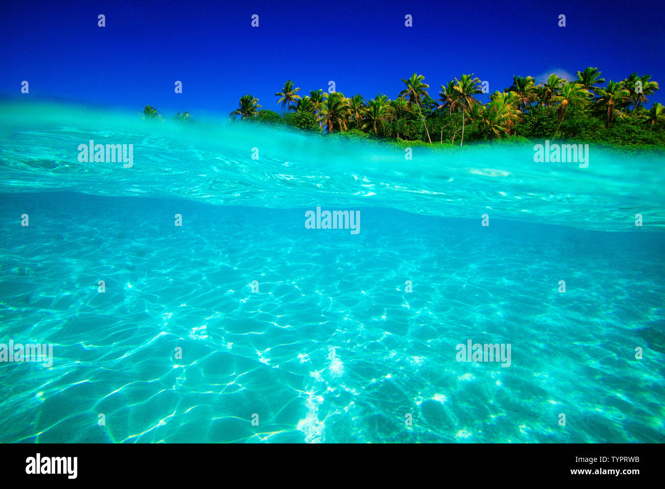 Tropical Island with a paradise beach and palm trees, Fiji Islands ...