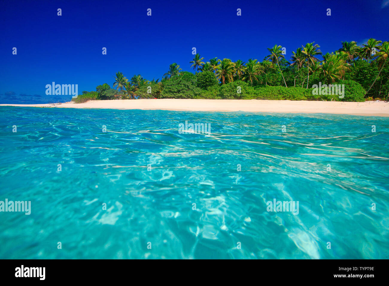 Tropical Island with a paradise beach and palm trees, Fiji Islands ...