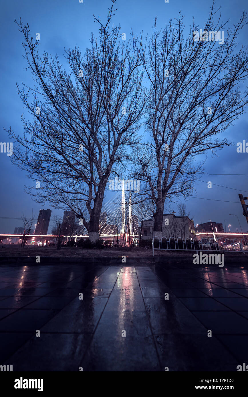 Jinyang lake hi-res stock photography and images - Alamy