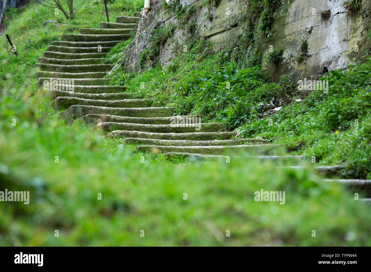 Winding staircase hi-res stock photography and images - Alamy