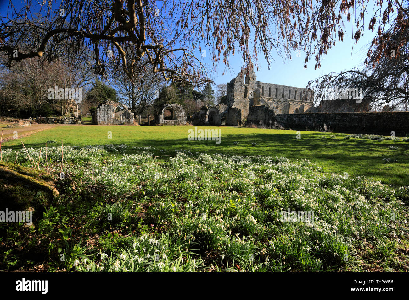 The ruins of Jervaulx Abbey, East Witton village, North Yorkshire ...