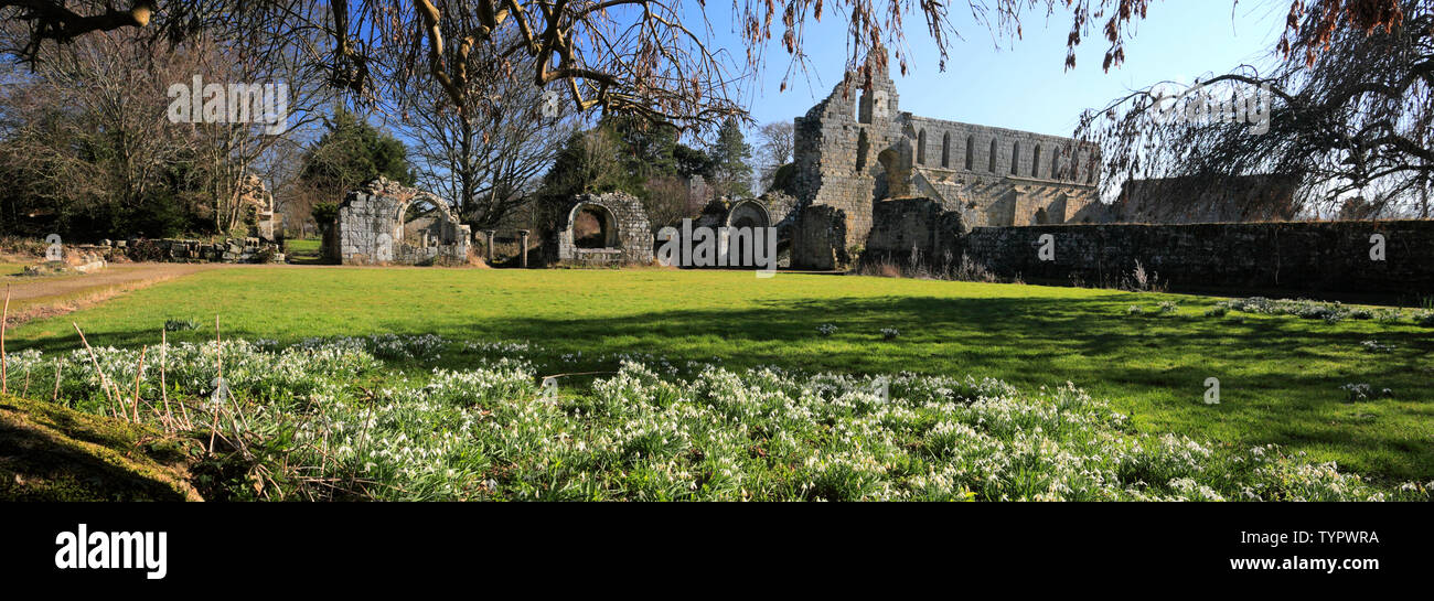 The ruins of Jervaulx Abbey, East Witton village, North Yorkshire ...