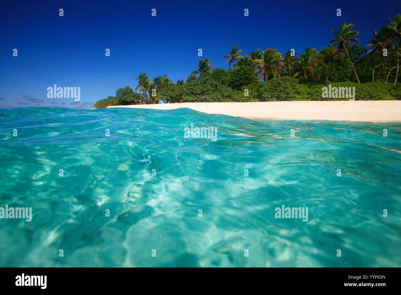 Tropical Island with a paradise beach and palm trees, Fiji Islands ...