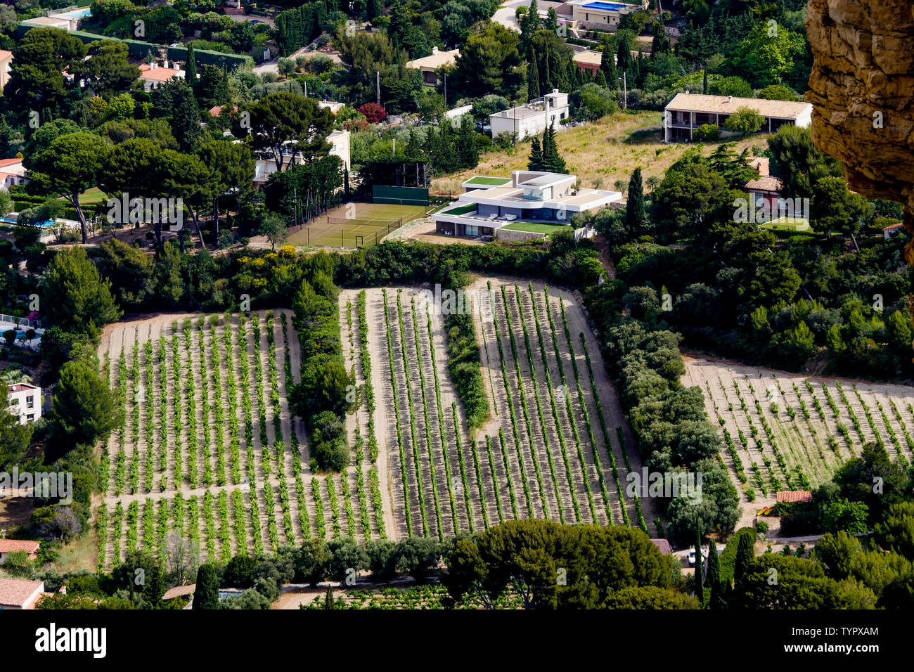 Cassis vineyard wine hi-res stock photography and images - Alamy