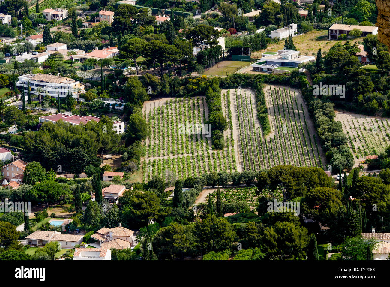 Cassis vineyard wine hi-res stock photography and images - Alamy