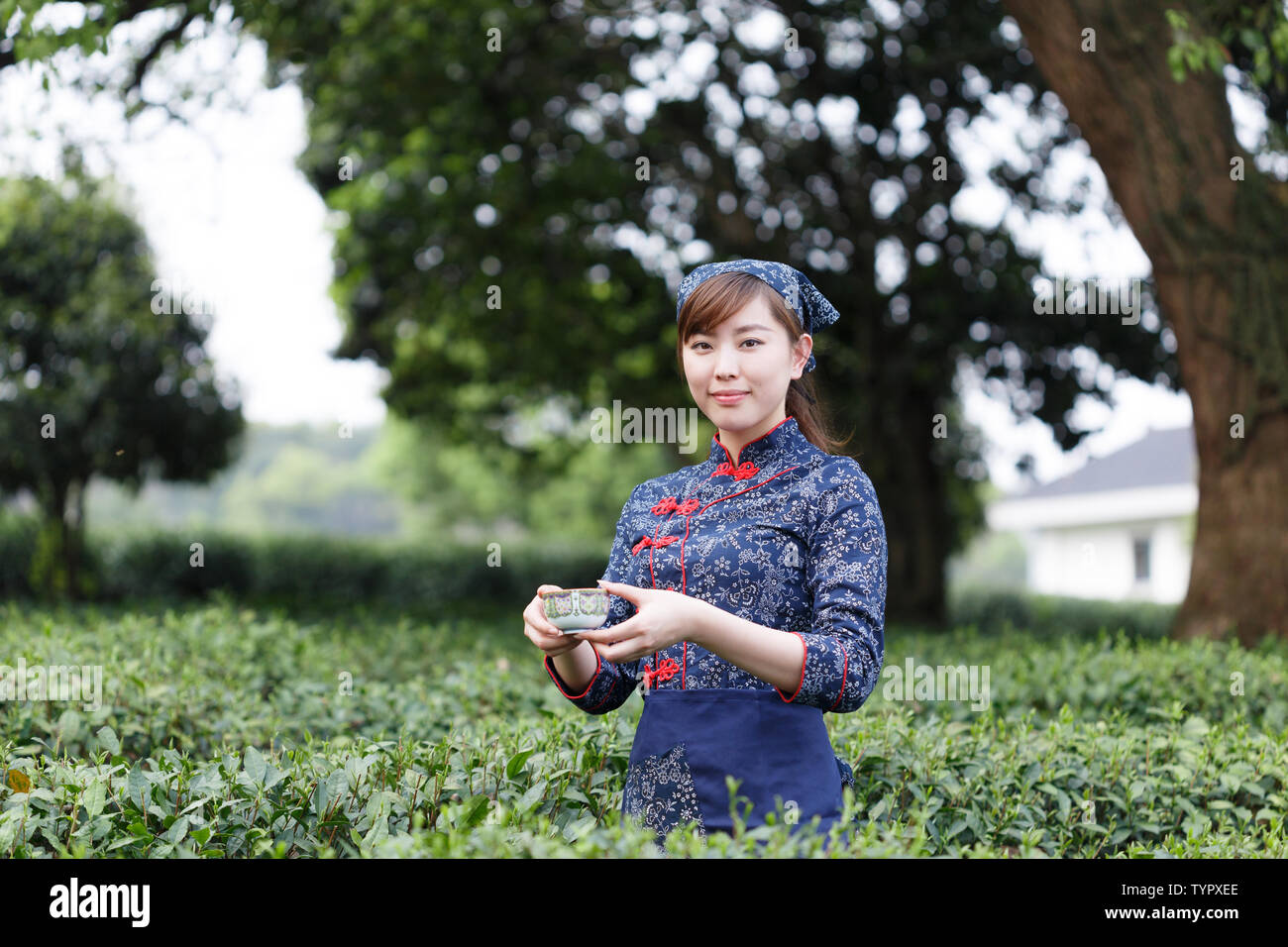 Asian pretty tea - amazing girl in photography Stock Photo - Alamy