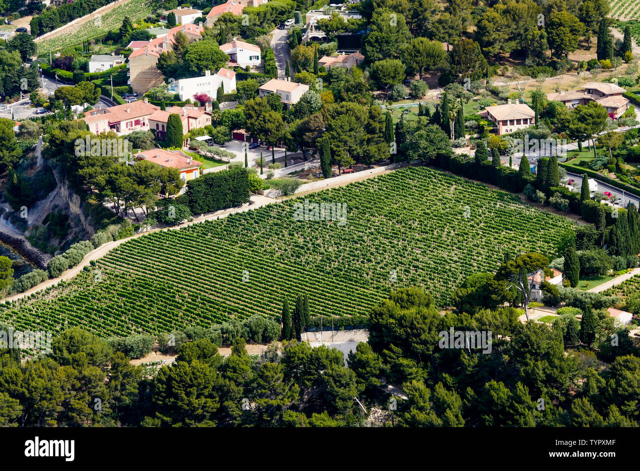 Cassis vineyard wine hi-res stock photography and images - Alamy