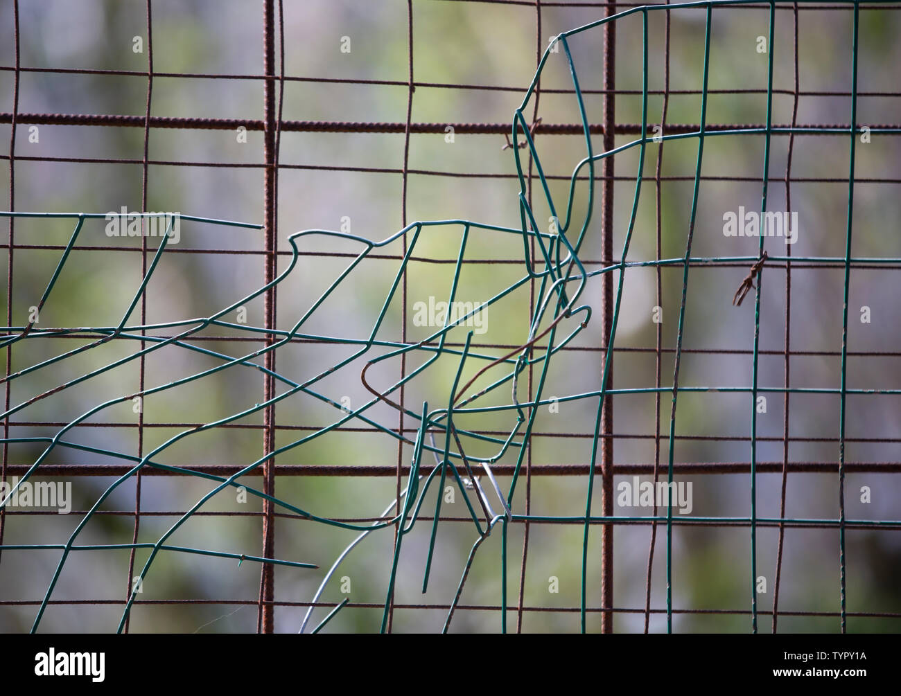 Wire mesh fence hi-res stock photography and images - Alamy