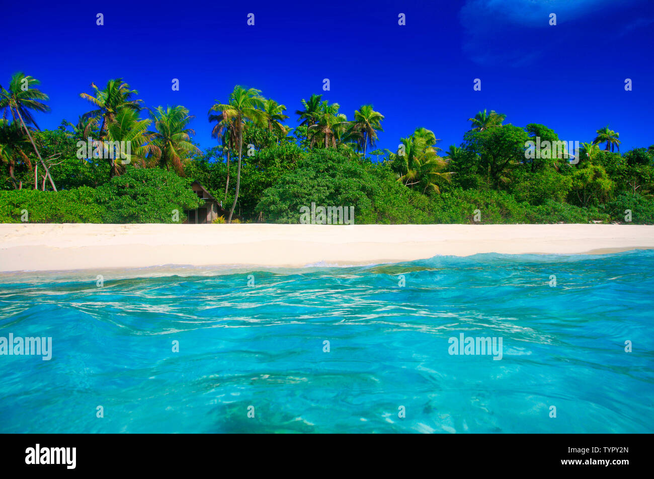 Tropical Island with a paradise beach and palm trees, Fiji Islands ...