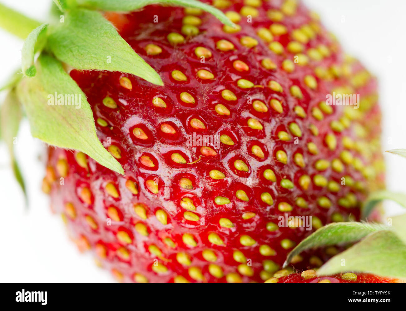 Closeup fresh hi-res stock photography and images - Alamy