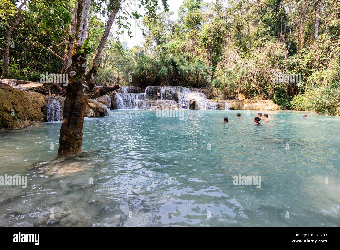 LUANG PRABANG, LAOS - MARCH 2019; Kuang si Waterfall Stock Photo - Alamy