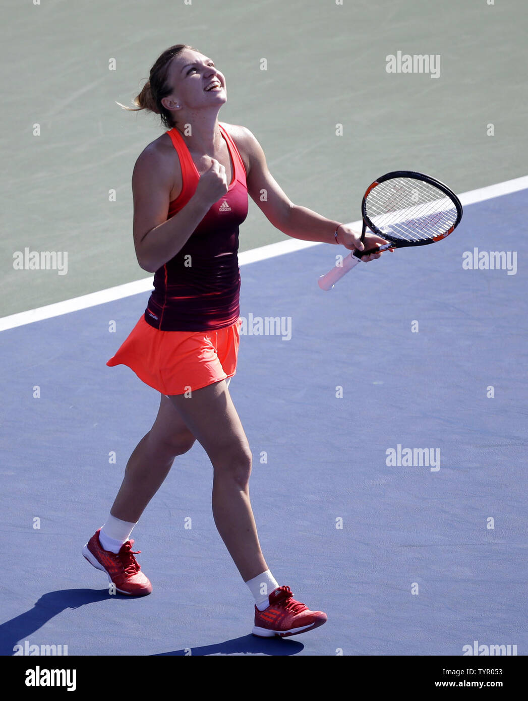 Sabine lisicki arthur ashe stadium hi-res stock photography and images ...