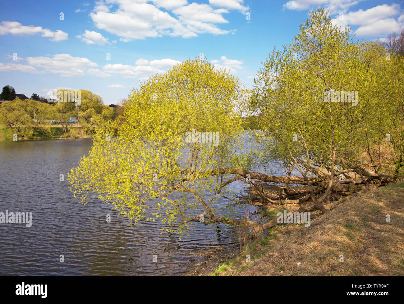 Plant riverside district hi-res stock photography and images - Alamy