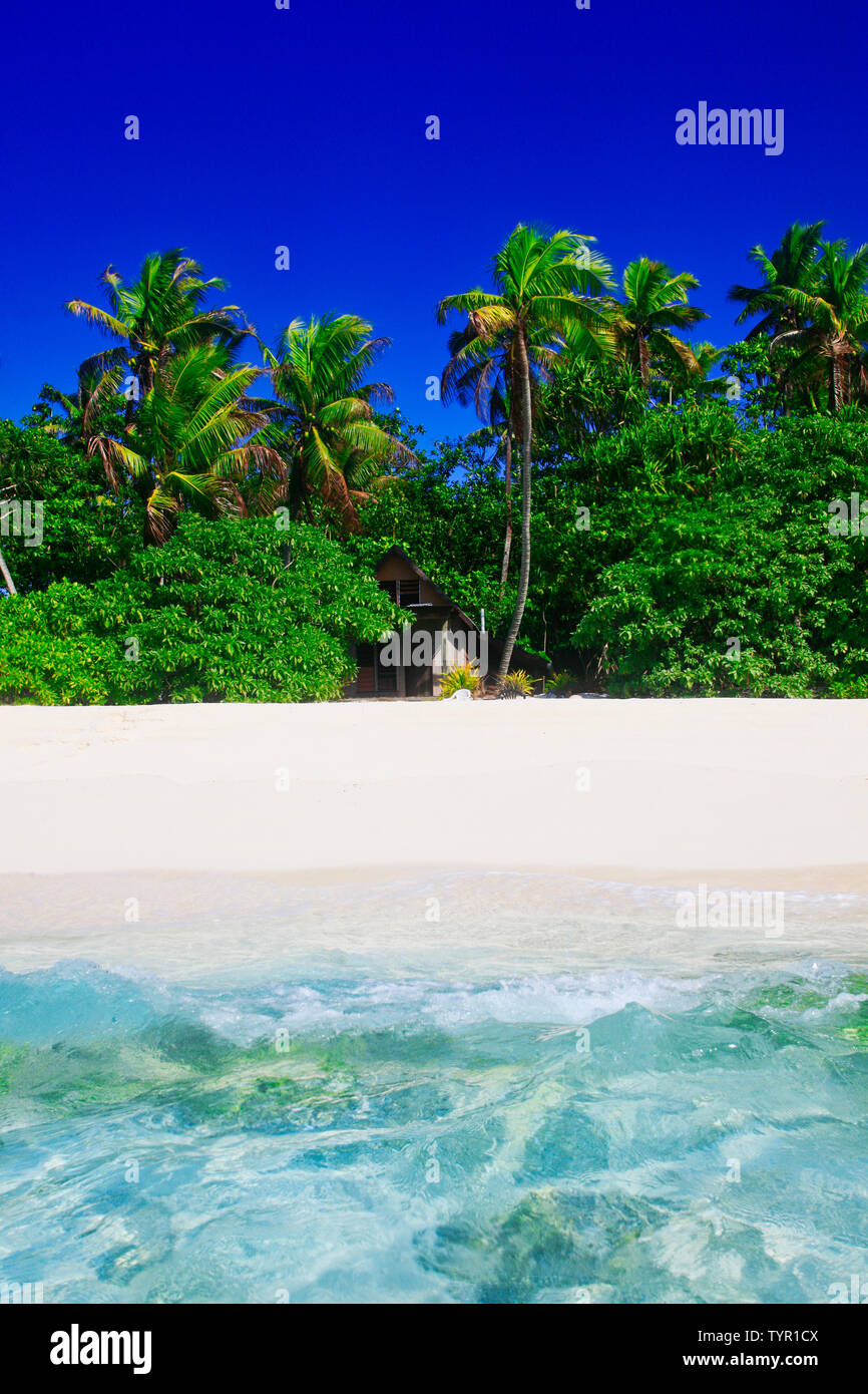 Tropical Island with a paradise beach and palm trees, Fiji Islands ...