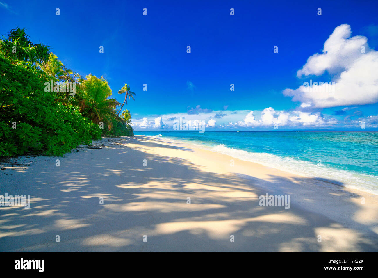 Tropical Island with a paradise beach and palm trees, Fiji Islands ...