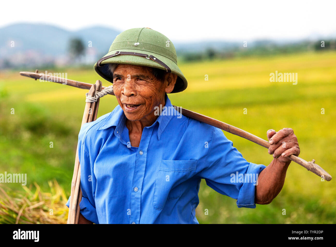 Man carrying rice paddy field hi-res stock photography and images - Alamy