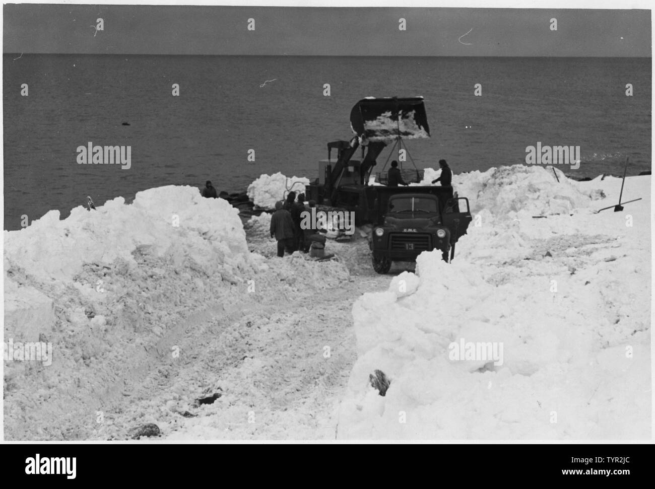 Penguin cargo penguin cargo hi-res stock photography and images - Alamy